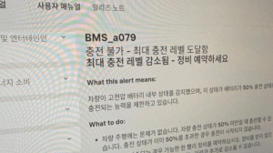 테슬라 BMS 에러(BMS_a079 이슈) 원인과 해결 방법 완벽 정리 - 임플란트 | 무료정보